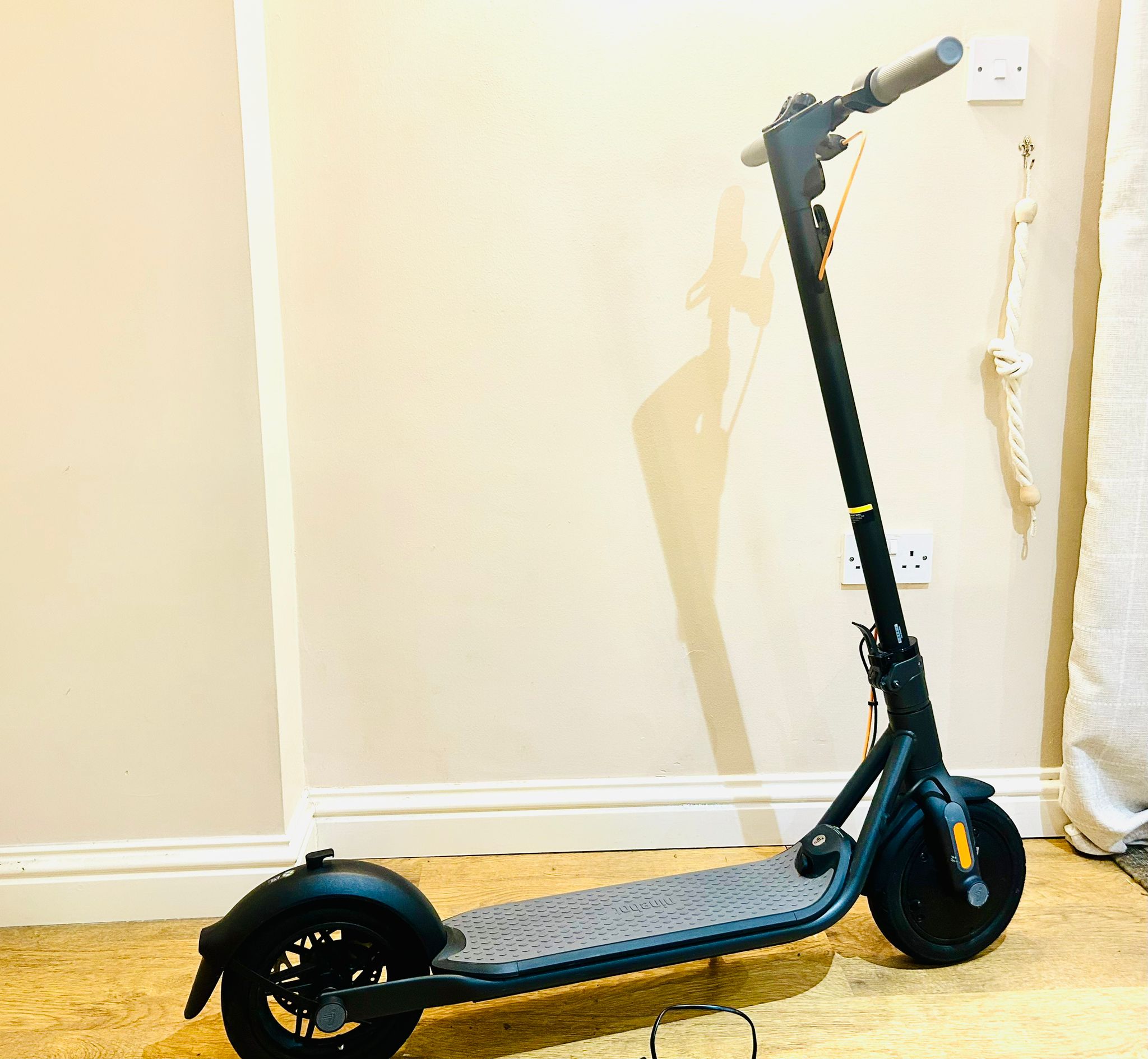 Ninebot F30 - Free UK Delivery - Ride + Glide